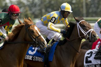 Dixie Strike runs away with Selene | BRISnet.com Trusted Data & More