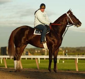 Claiborne Farm to stand First Samurai | BRISnet.com Trusted Data & More