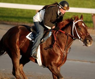 First Samurai, Laity sidelined | BRISnet.com Trusted Data & More