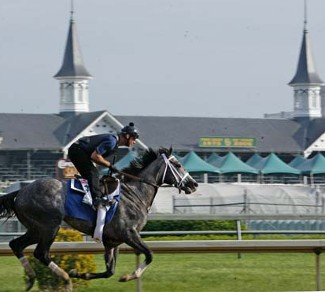 Chelokee tops Barbaro | BRISnet.com Trusted Data & More