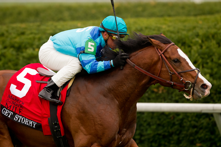Stormy gets things all his own way in Maker's Mark | BRISnet.com ...