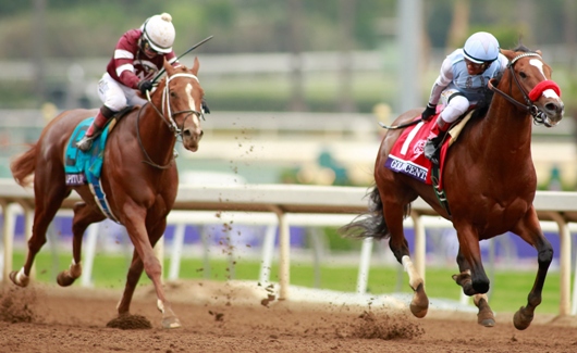 Untapable, Tapiture arrive at Fair Grounds to prepare for 2015 ...
