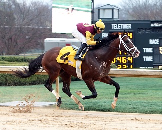 Golden Lad crushes Razorback rivals in stakes debut | BRISnet.com ...