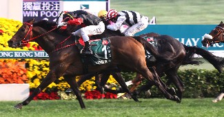 Good Ba Ba makes history with three-peat in Hong Kong Mile - Brisnet