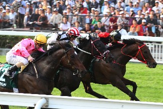 Good Ba Ba makes history with three-peat in Hong Kong Mile | BRISnet ...