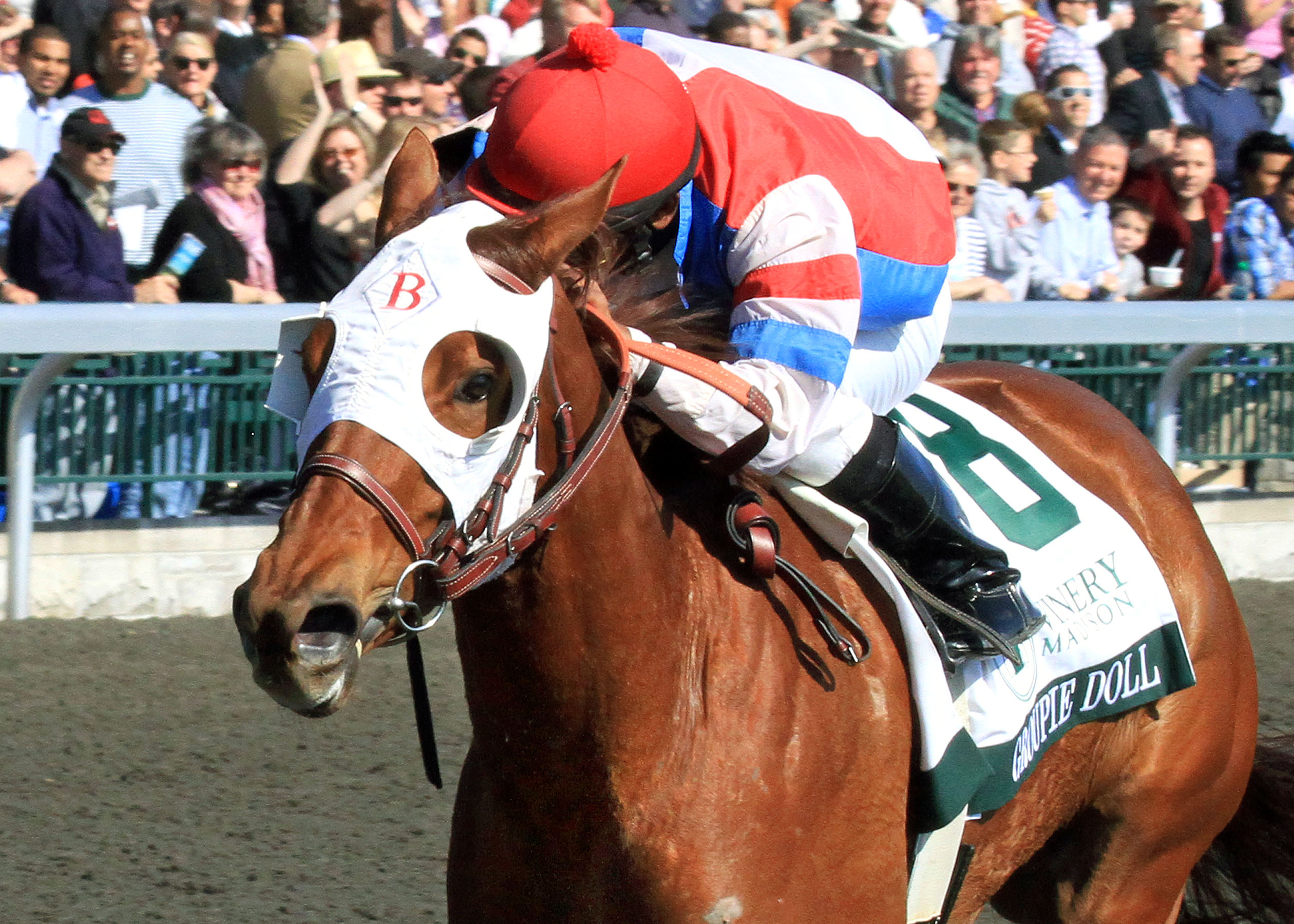 Blinkers do the trick for Groupie Doll in Madison - Handicappers' Edge