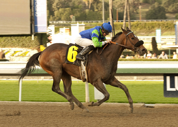 Include Me Out draws off in La Canada - Brisnet