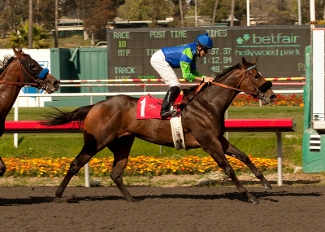 Include Me Out makes it three straight in Marjorie Everett - Brisnet