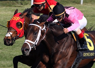 Jack Milton fends off Birds in Transylvania | BRISnet.com Trusted Data ...