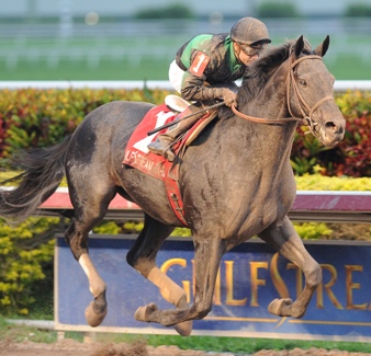 Just Call Kenny recovering well from surgery to repair fracture ...