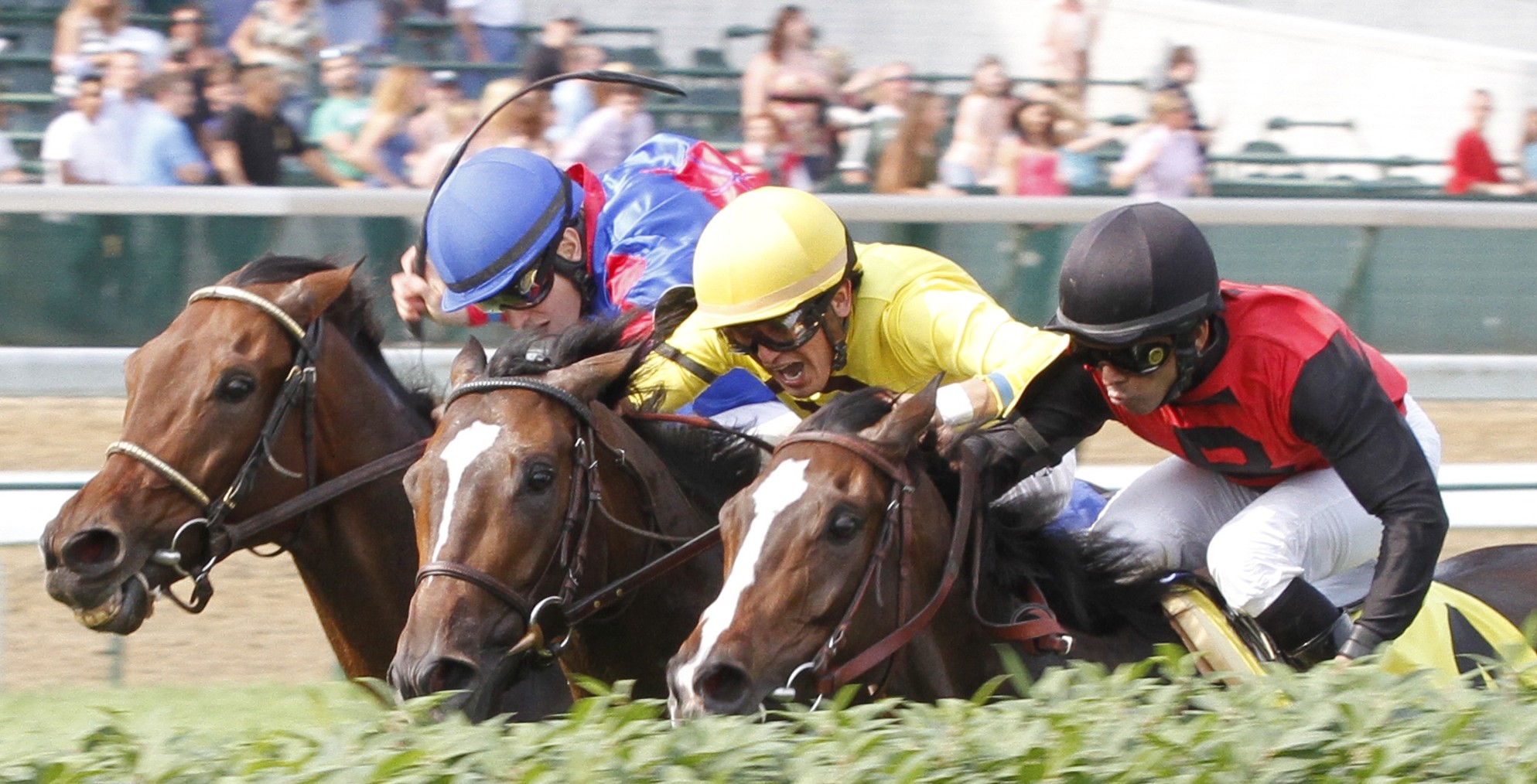 Keertana takes Louisville in nose bob | BRISnet.com Trusted Data & More