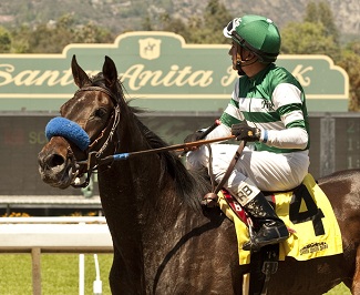 Lady of Shamrock awarded Santa Barbara via DQ | BRISnet.com Trusted ...