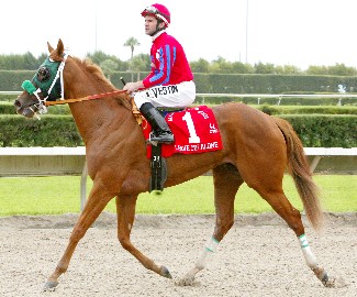 Azalea BC | BRISnet.com Trusted Data & More