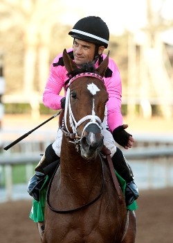 Lexie Lou takes Autumn Miss in U.S. debut - Brisnet