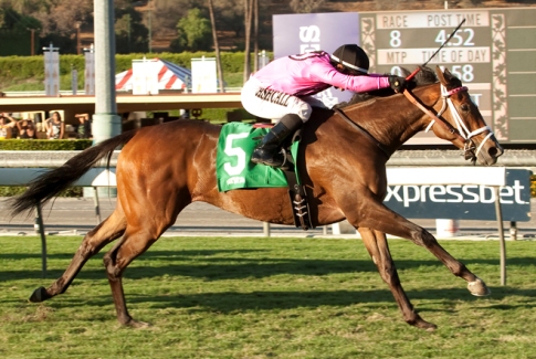 Lexie Lou takes Autumn Miss in U.S. debut - Brisnet