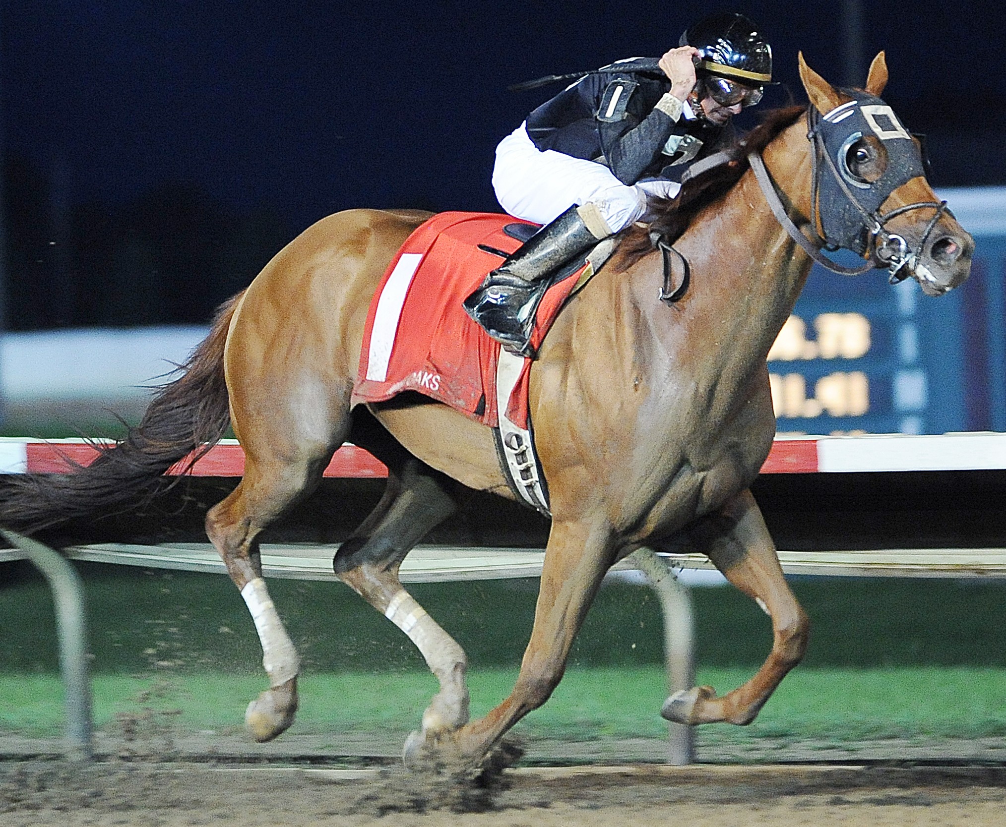 Little Miss Holly captures Iowa Oaks - Brisnet