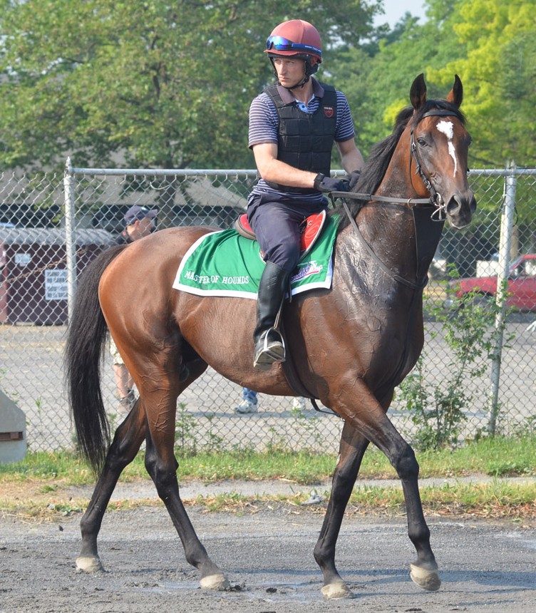 Master of Hounds arrives, gallops at Belmont | BRISnet.com Trusted Data ...