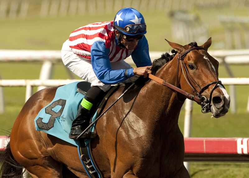 May Day Rose turns over new leaf in Railbird | BRISnet.com Trusted Data ...
