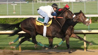 Musket Man motors six panels beneath Twin Spires - Brisnet