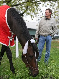 Musket Man goes on the shelf with bone bruise - Brisnet