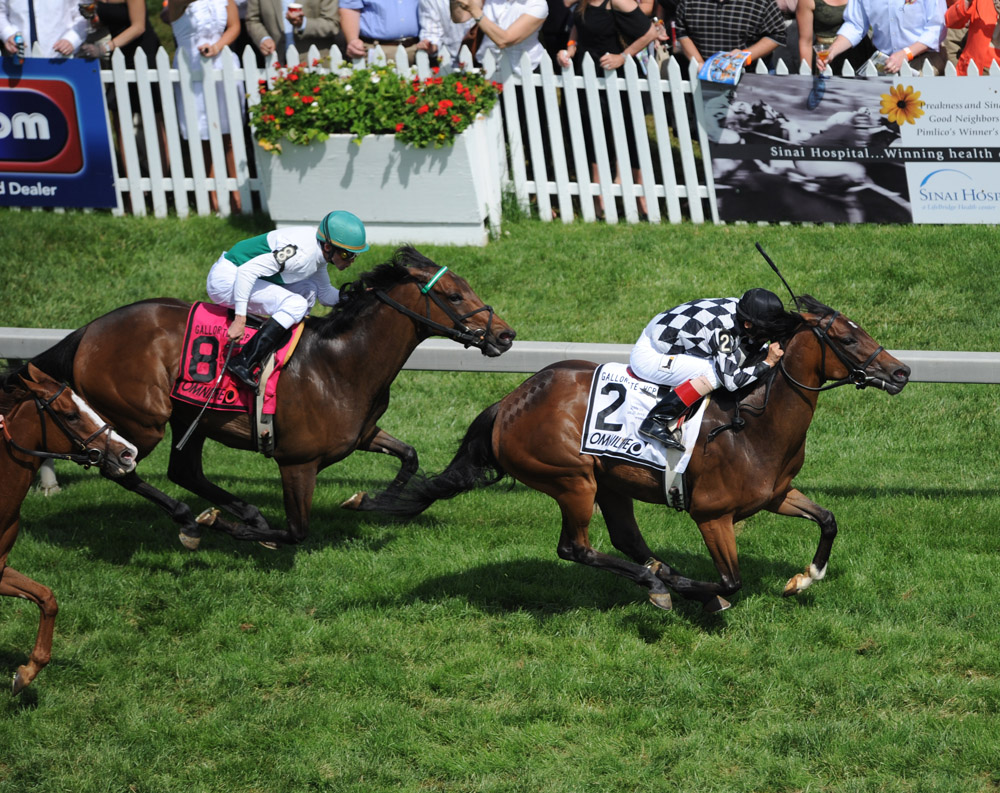 No Explaining necessary for the Gallorette winner - Brisnet