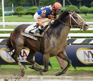 Notacatbutallama tops Duluth; Percussion in Slew o' Gold - Brisnet