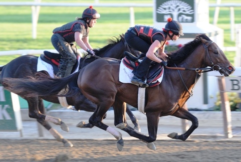 McGaughey gives Orb green light for Belmont | BRISnet.com Trusted Data ...