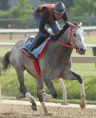 Several horses turn in final works for Belmont | BRISnet.com Trusted ...