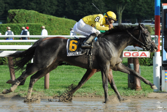 Quick Wit foils Csaba in off-the-turf Hall of Fame - Brisnet