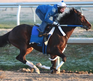 Rachel Alexandra turns in sharp five-furlong breeze | BRISnet.com ...