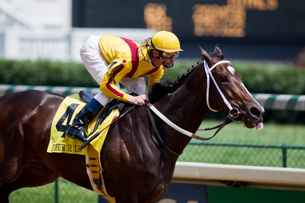 Rachel Alexandra bred to Curlin - Bloodstock Journal
