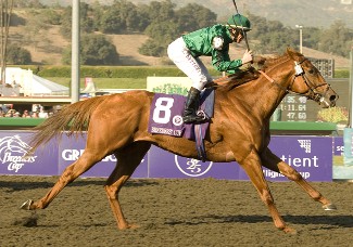Raven's Pass retired to Kildangan Stud - Brisnet