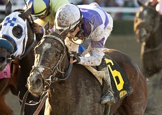 Renee springs titanic upset of Beholder in Santa Ynez - Brisnet