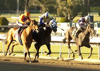 Renee springs titanic upset of Beholder in Santa Ynez - Brisnet