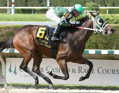 Scandalous Act sweeps filly FSS; Best Plan Yet captures In Reality for ...