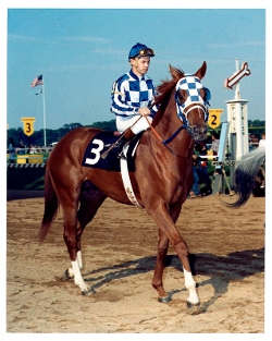 Riders to gather for Secretariat birthday celebration | BRISnet.com ...