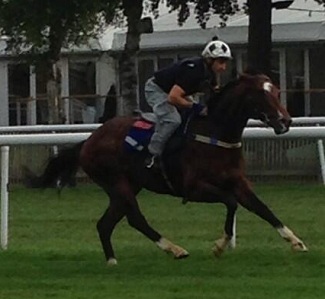 July Cup features international cast of 15 - Brisnet