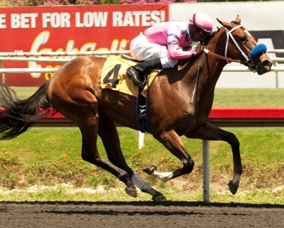 She's a Tiger roars in Landaluce; Alpine Luck scores in Juvenile ...