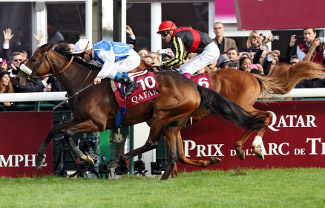 Longshot Solemia inflicts heartbreak on Orfevre in Arc | BRISnet.com ...