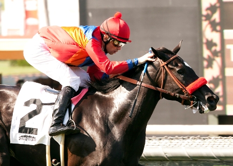 Spanish Queen enjoys her Honeymoon trip - Brisnet