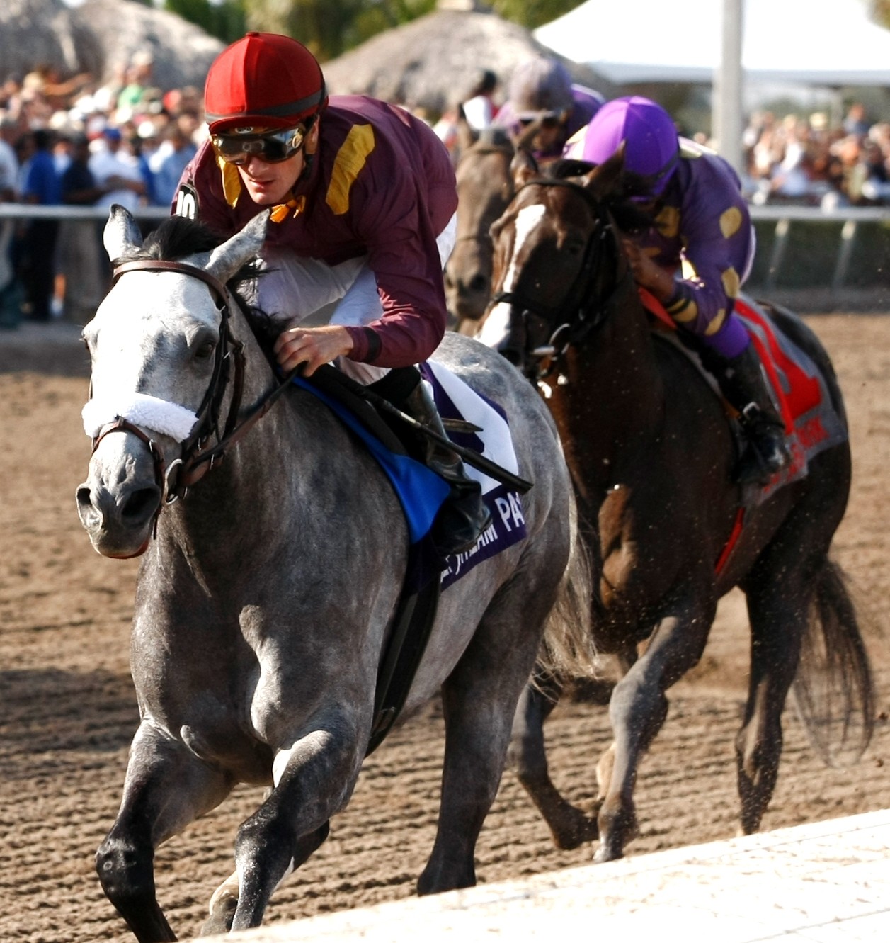 S. S. Stone grinds out Skip Away score - Handicappers' Edge