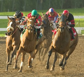 Santa Maria | BRISnet.com Trusted Data & More