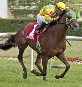 Kentucky Turf Cup draws contentious field of nine - Brisnet