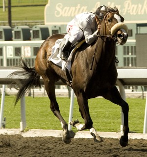 Tanda impresses in stakes-record time in Santa Paula | BRISnet.com ...