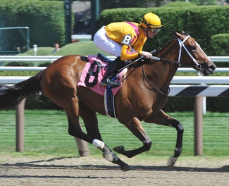 Teen Pauline sticks to turf in Riskaverse | BRISnet.com Trusted Data & More