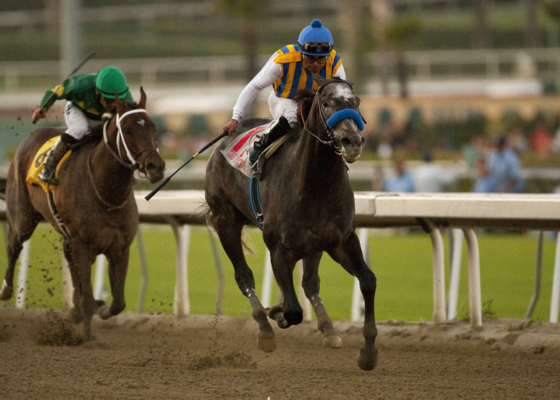 The Factor's back to his best in Malibu | BRISnet.com Trusted Data & More