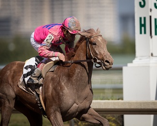 Top Billing lives up to name with handy allowance score - Brisnet