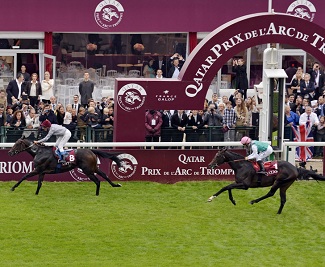 Treve reels in Flintshire at Saint-Cloud | BRISnet.com Trusted Data & More
