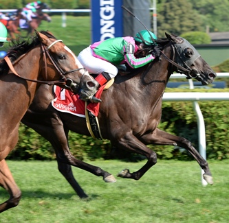 McGaughey's patience with Tricky Hat rewarded in John's Call victory ...