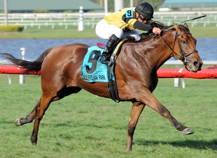 Twilight eclipses week-old world record in Pan Am | BRISnet.com Trusted ...